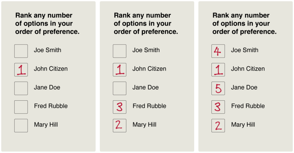 Voting Explainer | First Peoples' Assembly of Victoria, Treaty for Victoria