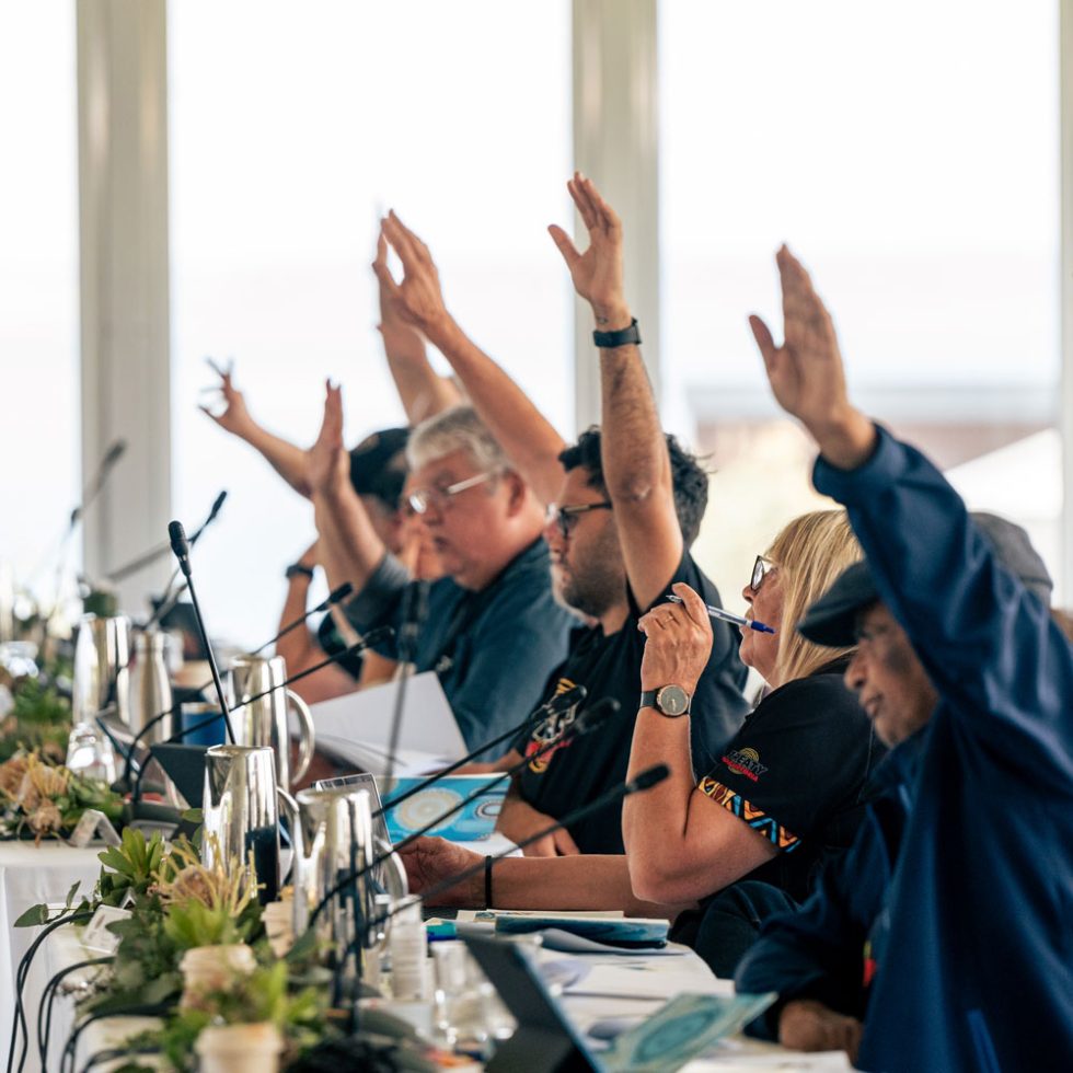 Treaty Explainer — First Peoples’ Assembly of Victoria